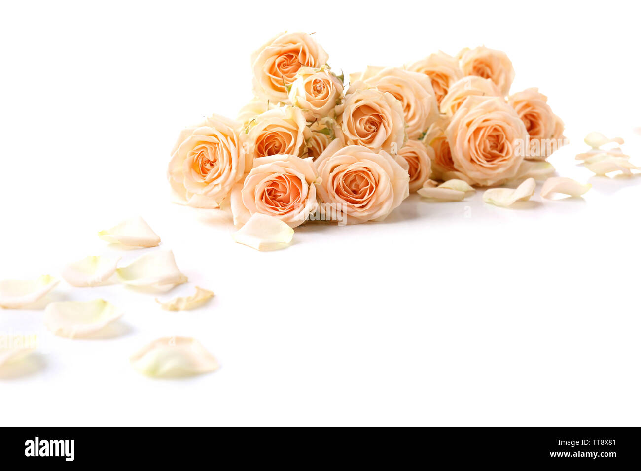 Bouquet of beautiful fresh roses isolated on white Stock Photo - Alamy
