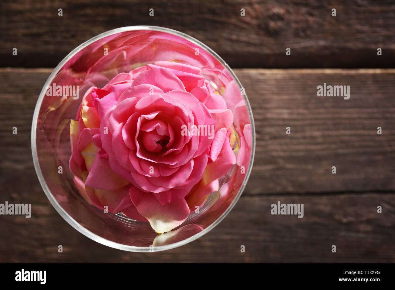 Glass vase top view hi-res stock photography and images - Alamy