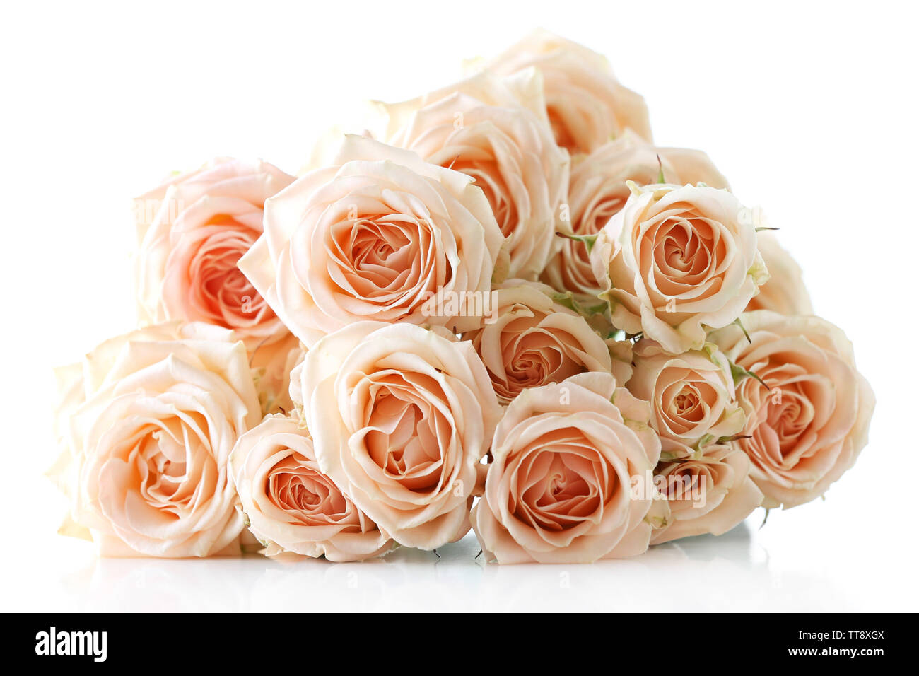 Bouquet of beautiful fresh roses isolated on white Stock Photo - Alamy