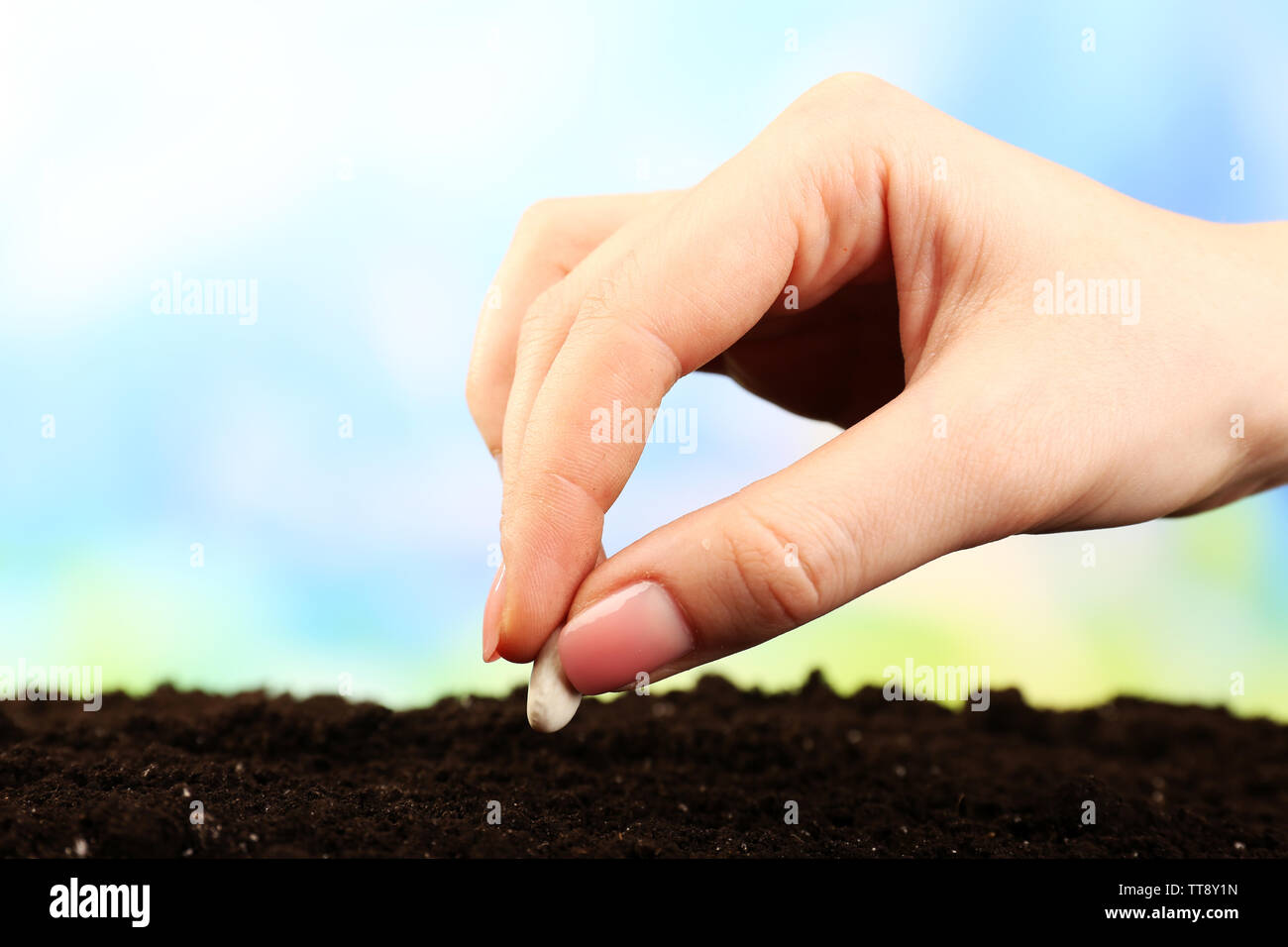 Hand Planting Seeds