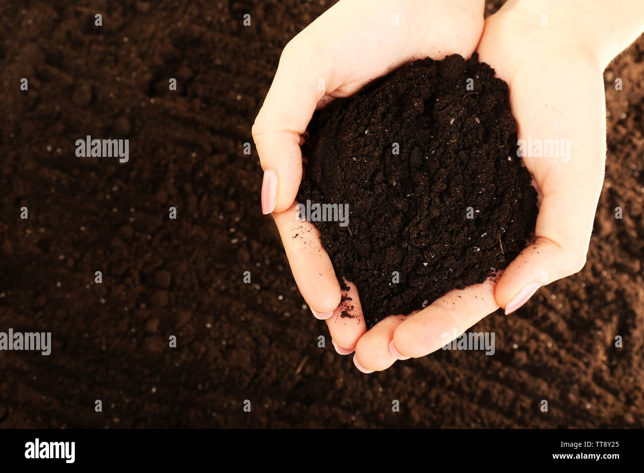 Female handful of soil, closeup Stock Photo - Alamy