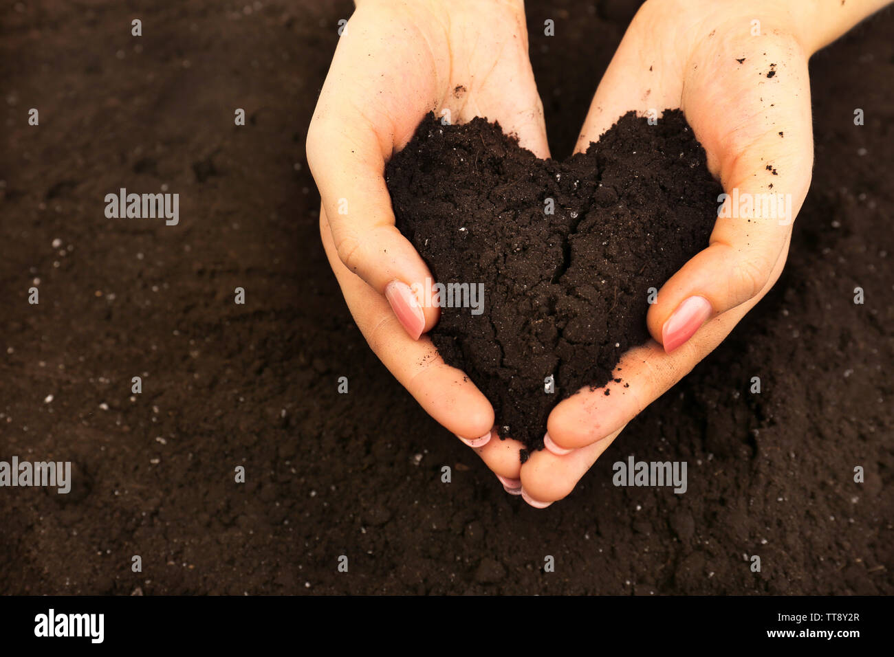 Female handful of soil in shape of heart, closeup Stock Photo - Alamy