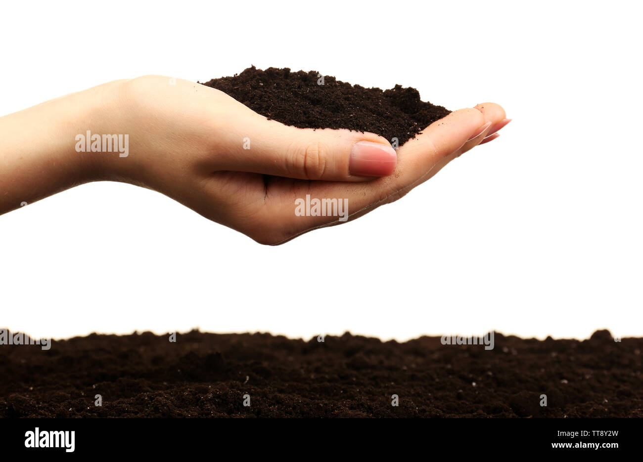 Female handful of soil isolated on white Stock Photo - Alamy