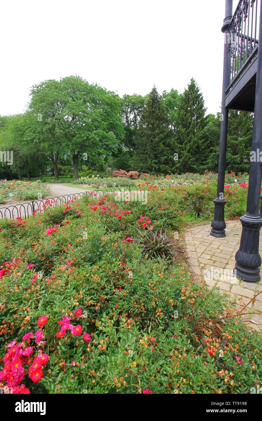 Park of Roses, Columbus, Ohio Stock Photo - Alamy
