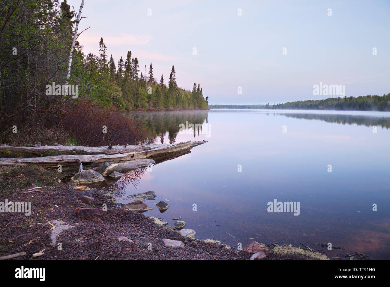 Calm trees hi-res stock photography and images - Alamy