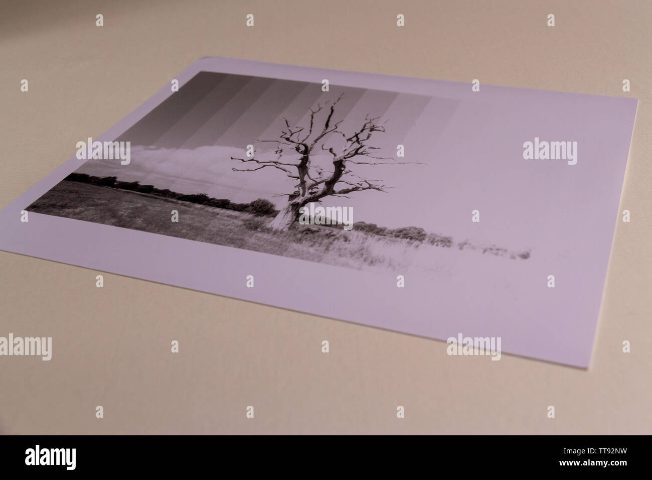 A black and white photographic test strip made to determine the correct ...