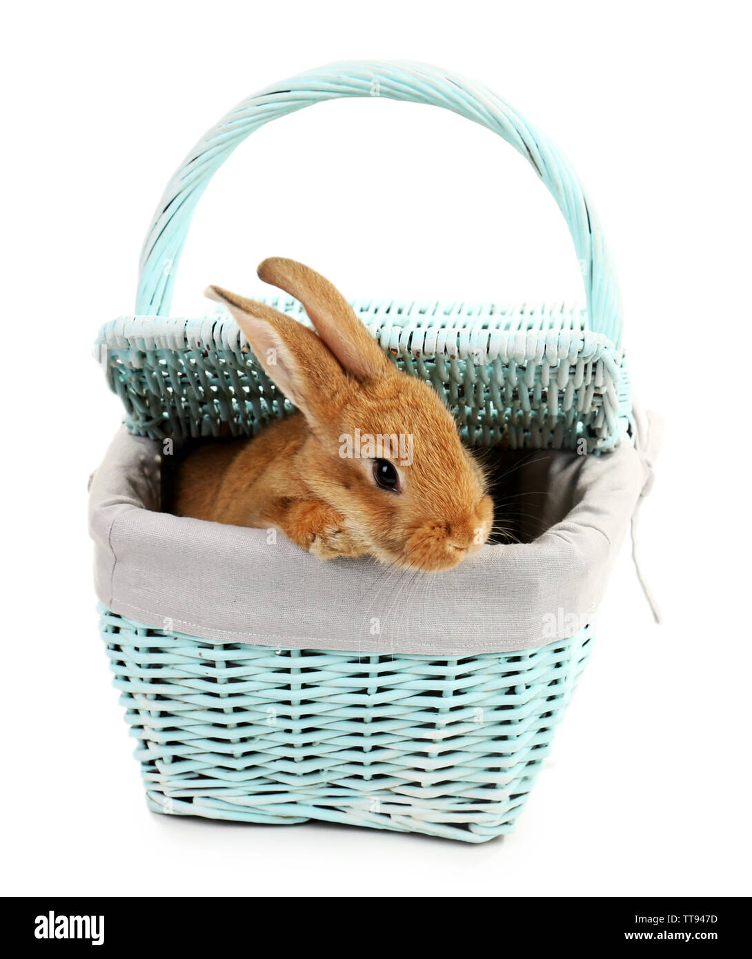 Cute brown rabbit in color wicker basket isolated on white Stock Photo ...