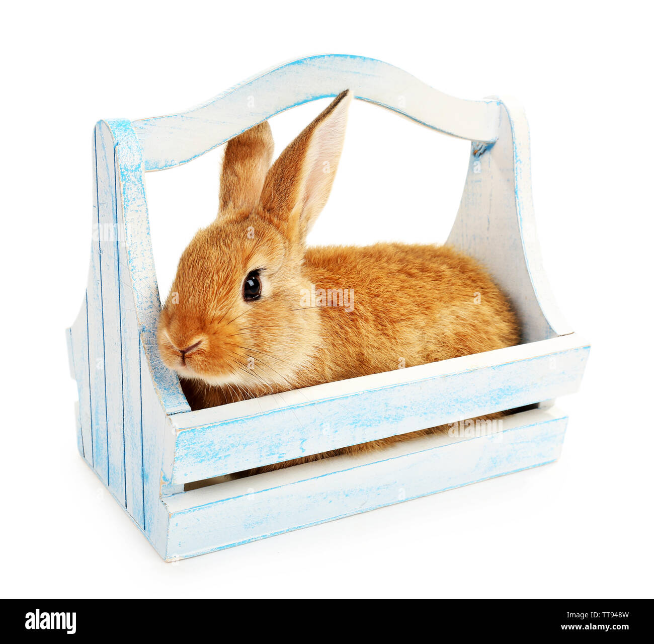 Cute rabbit in space Cut Out Stock Images & Pictures - Alamy