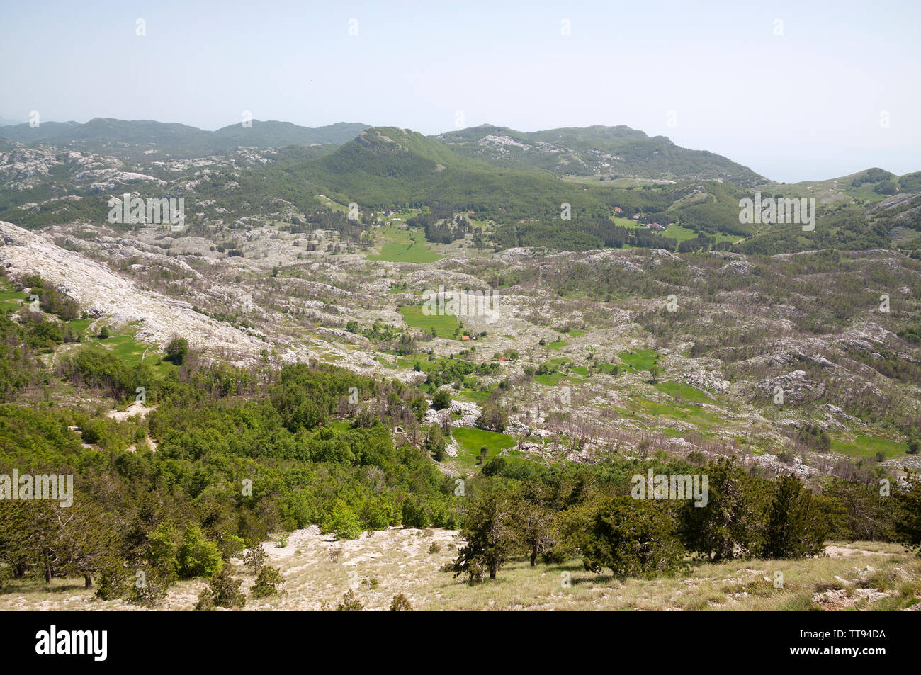 Wild typical Montenegro nature Stock Photo - Alamy