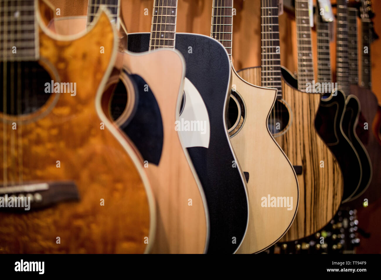 metal string acoustic guitars hanging on the walls of music store ready ...