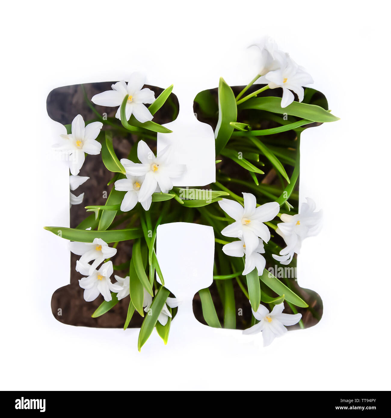 Letter h flowers hi-res stock photography and images - Alamy