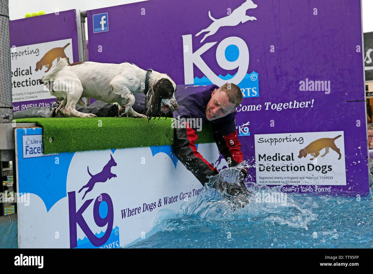 Manchester and cheshire dogs home hi-res stock photography and images ...
