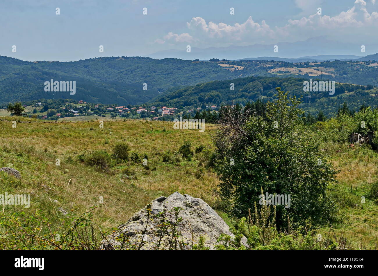 View of summer glade, forest and residential district of bulgarian ...