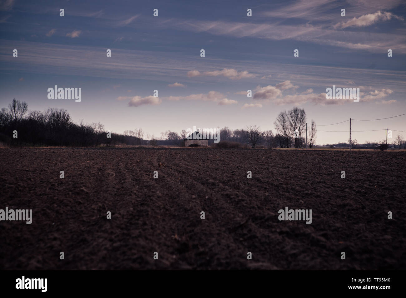 House on an open field in rural Hungary Stock Photo - Alamy