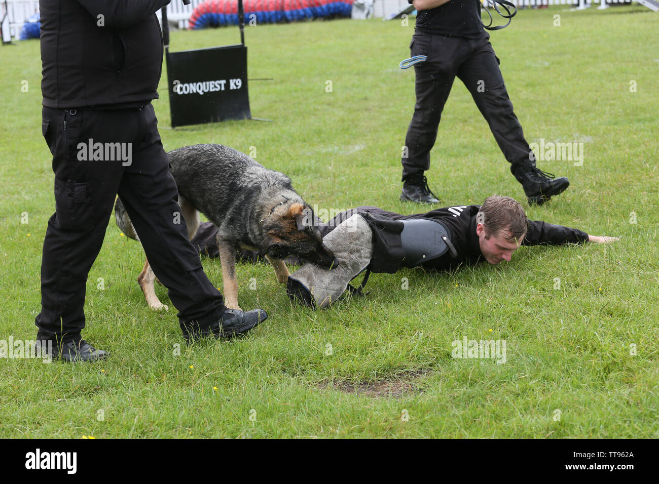 Were and when are the best displays in britain hi-res stock photography ...