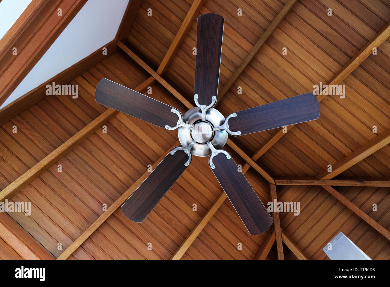 Ceiling fan with movement hi-res stock photography and images - Alamy