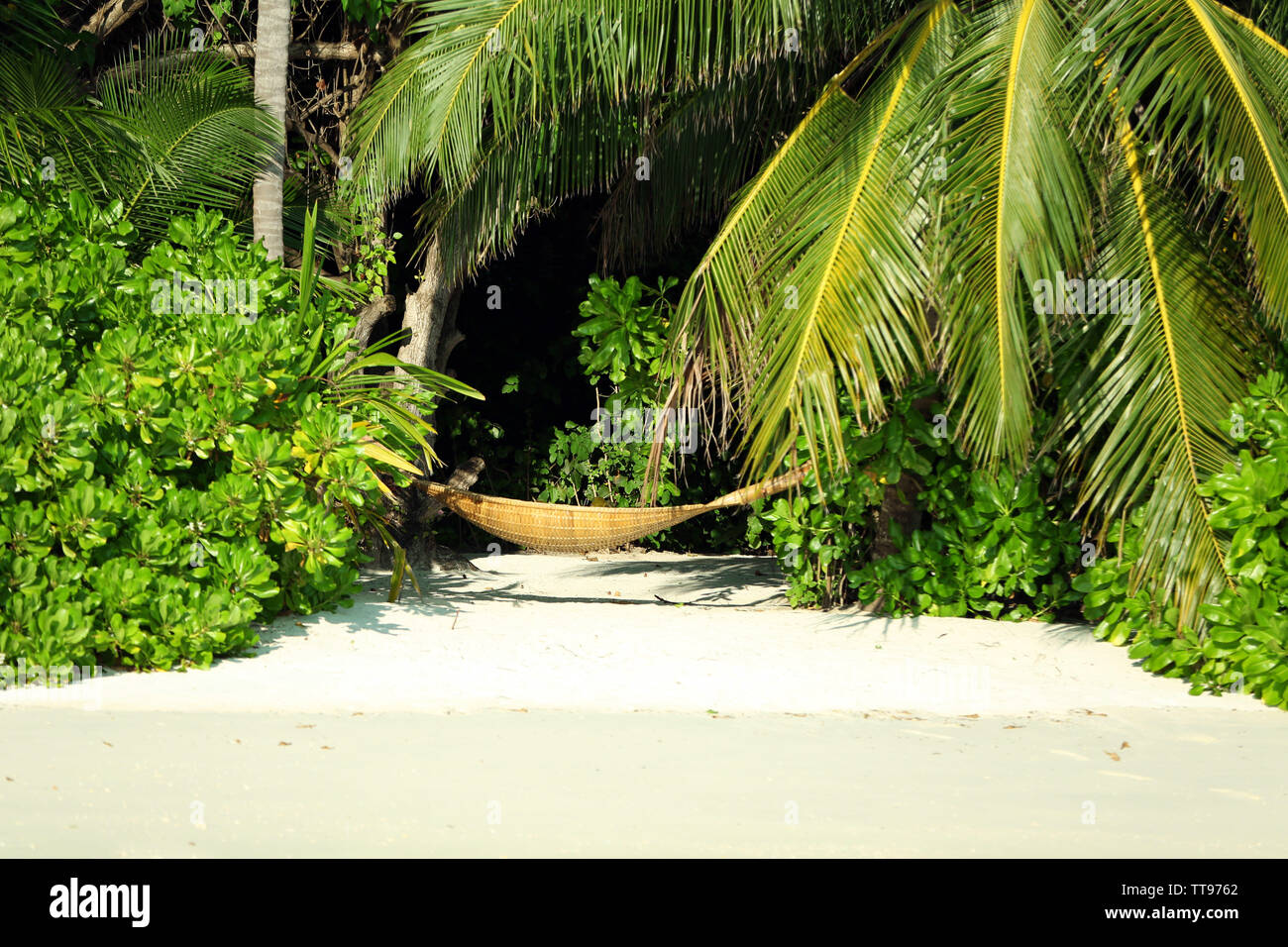 Straw hammock on tropical beach in resort Stock Photo - Alamy
