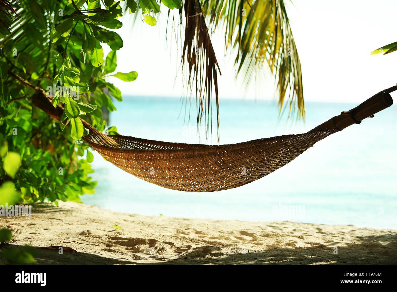 Straw hammock on tropical beach in resort Stock Photo - Alamy