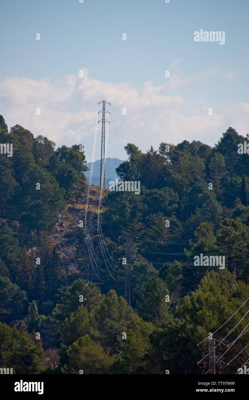 power lines cutting through forest in grazalema, andalusia, spain Stock ...