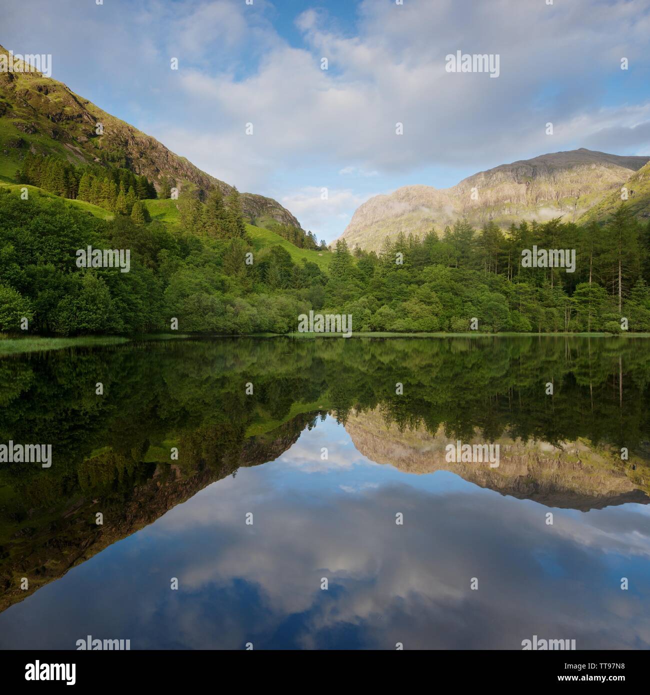 Summer evening reflections at the Torren Lochan Stock Photo - Alamy