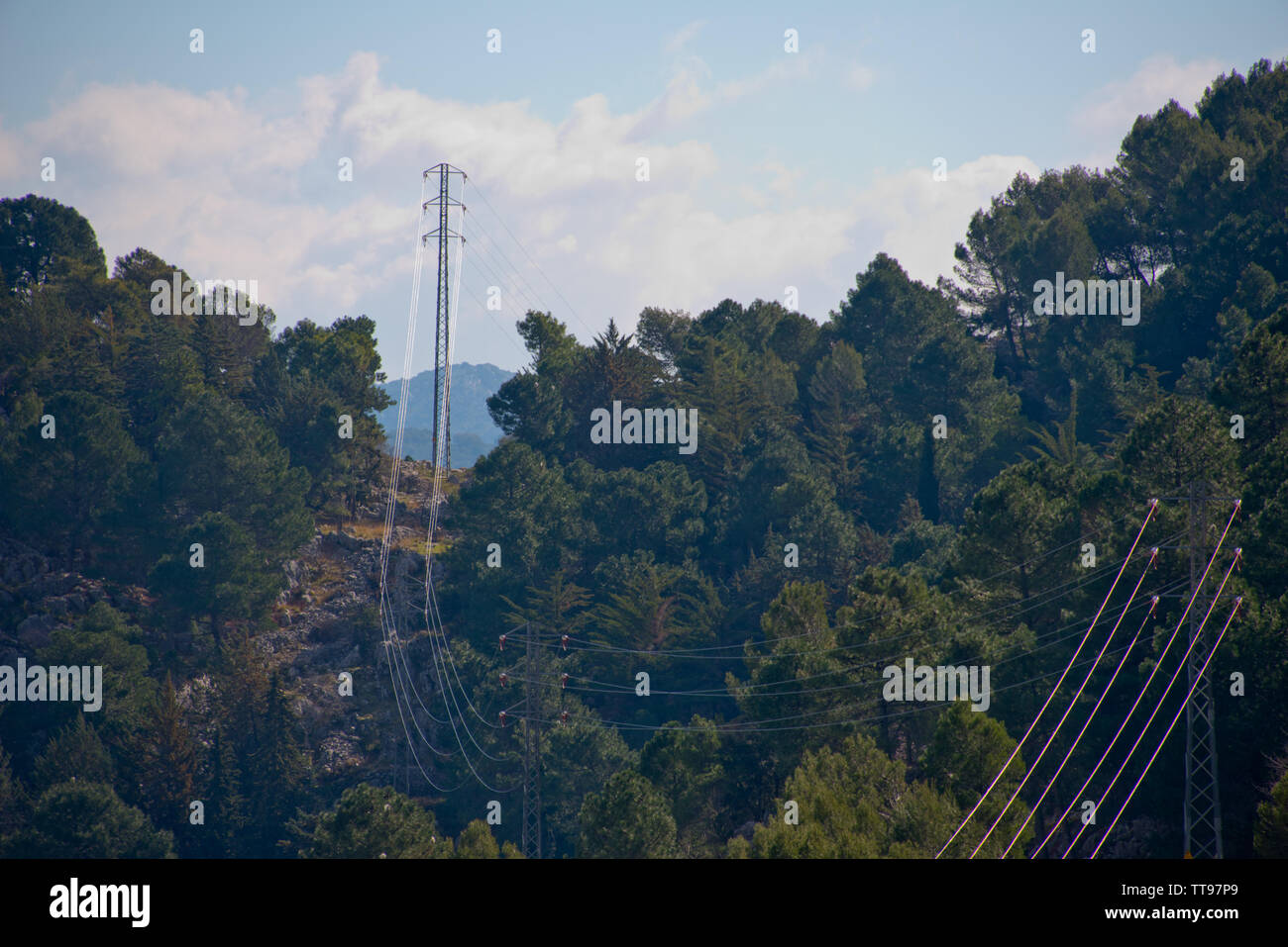 power lines cutting through forest in grazalema, andalusia, spain Stock ...
