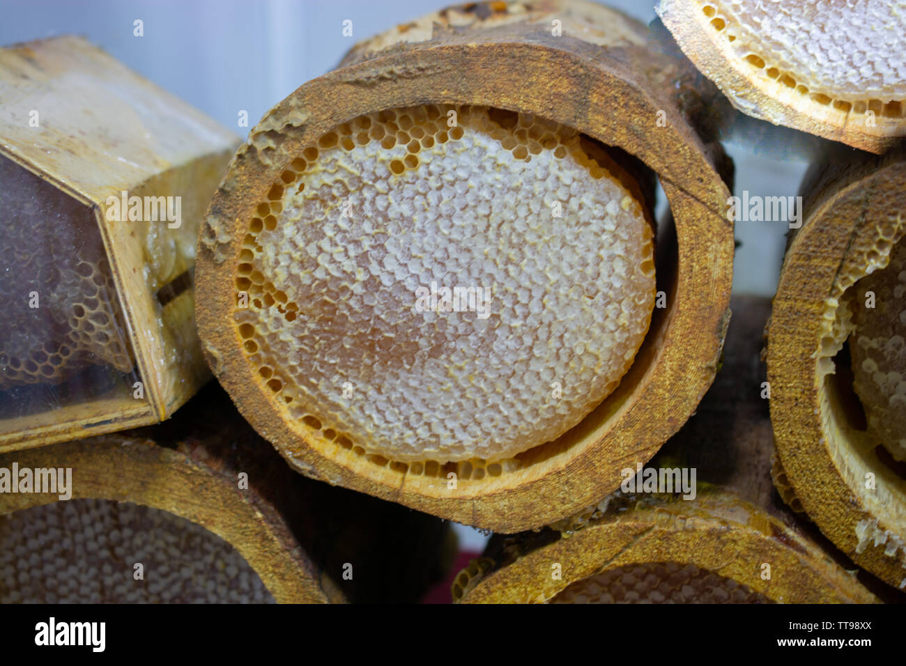 honeycomb from round beehive with sweet honey Stock Photo - Alamy