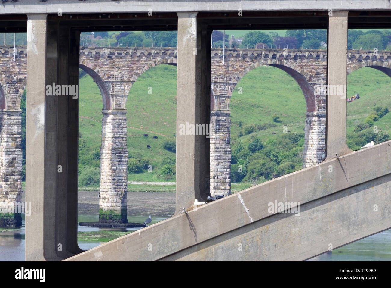 Detail of the Royal Tweed Bridge with the Royal Border Bridge in the ...