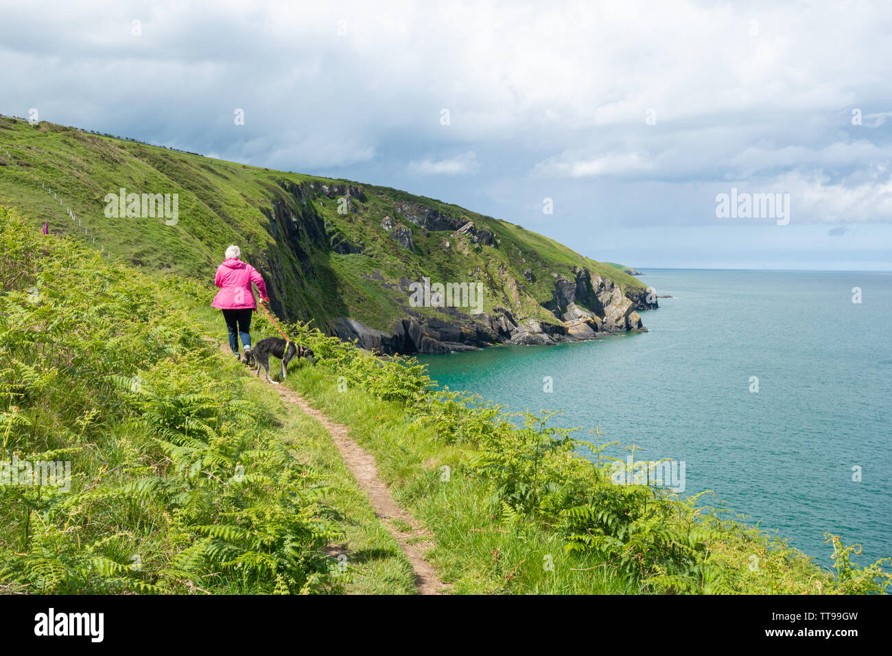 The coastal path at the picturesque Mwnt Bay in Ceredigion, Wales Stock ...