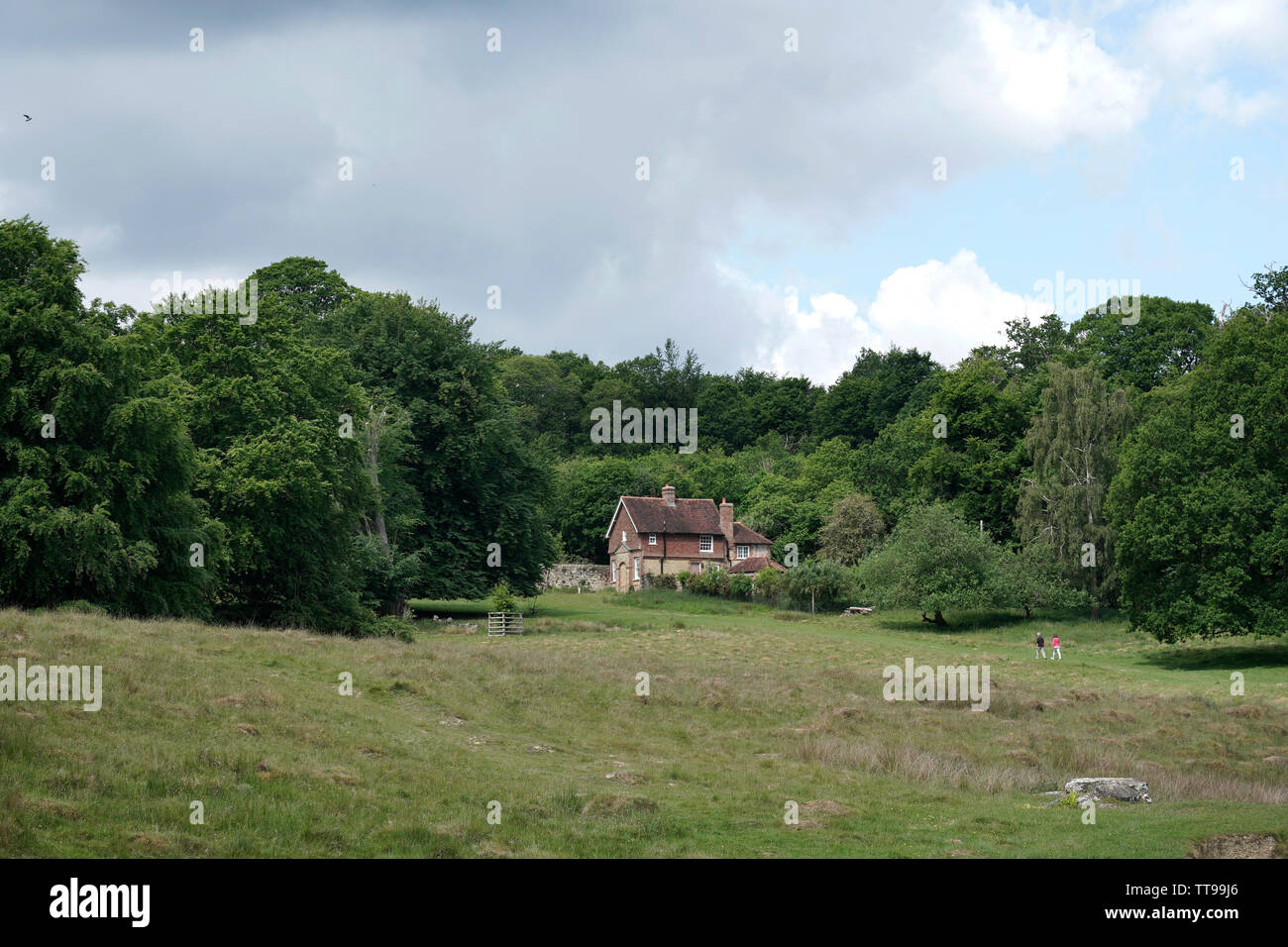 Scenic English countryside with a house Stock Photo - Alamy