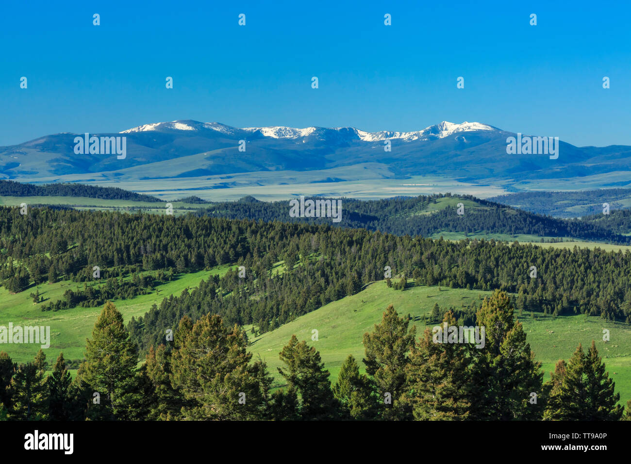 Smith river montana hi-res stock photography and images - Alamy