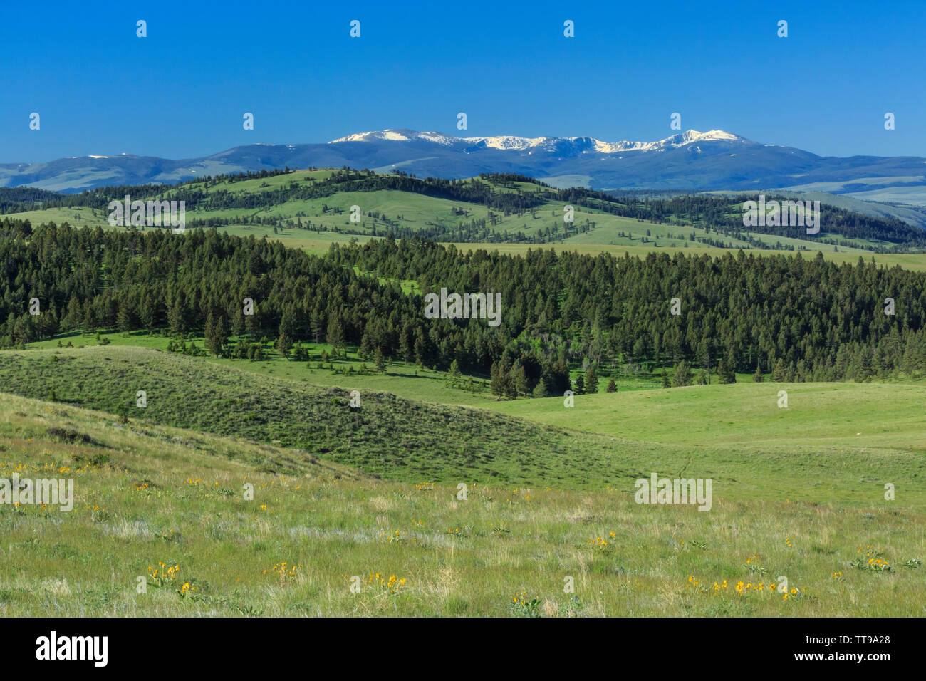 Smith river montana hi-res stock photography and images - Alamy