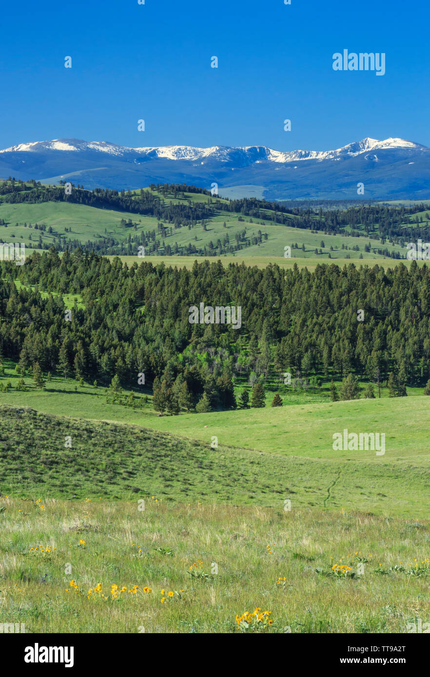 Smith river montana hi-res stock photography and images - Alamy