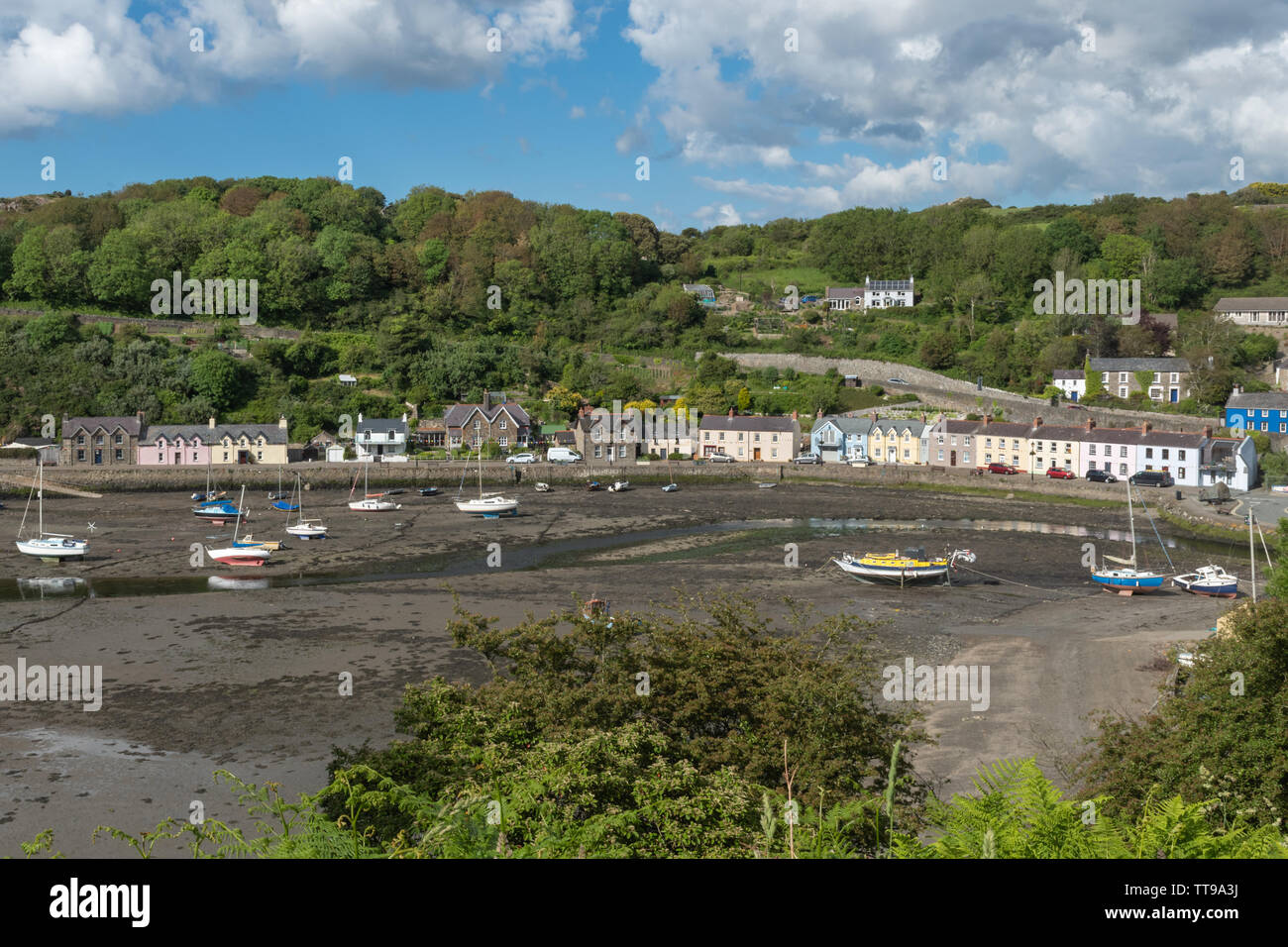The picturesque Lower Town, the old port of Fishguard, with pretty ...