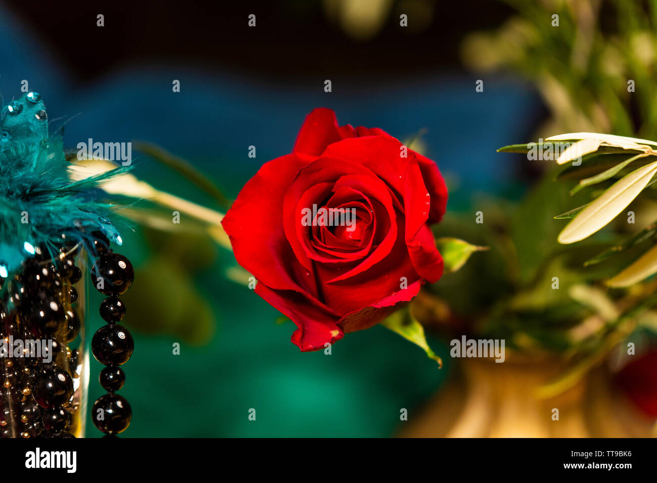 Romantic red rose pearls hi-res stock photography and images - Alamy
