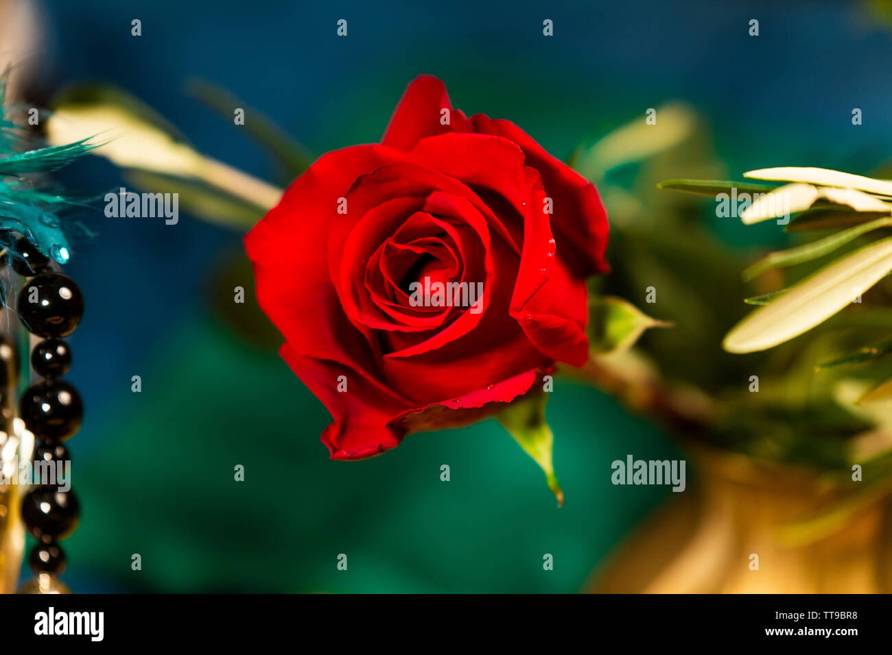 Rose gold festive flower hi-res stock photography and images - Alamy