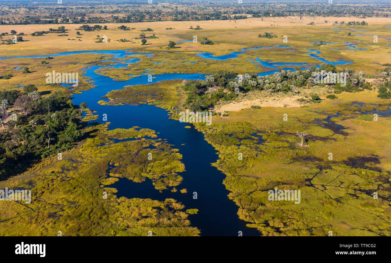 Okavango Delta, Botswana, Africa Stock Photo - Alamy