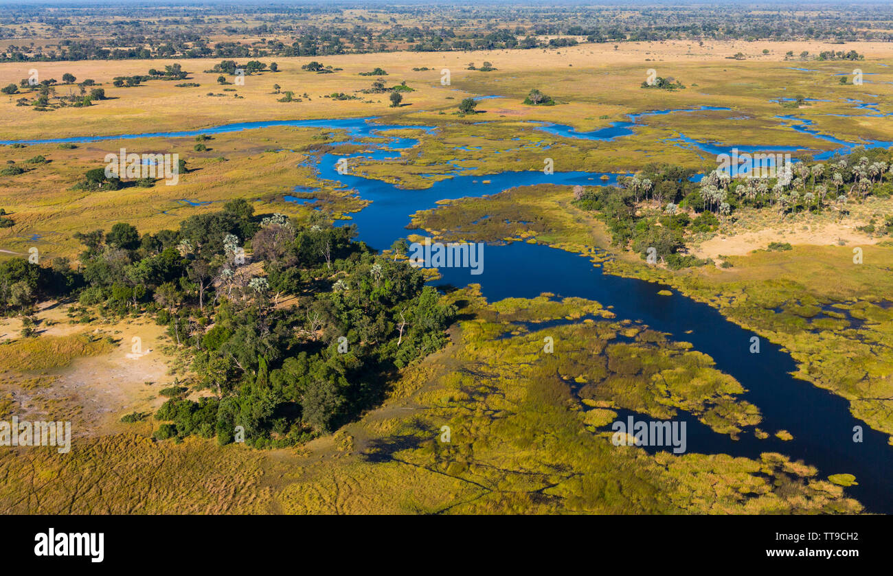 Okavango Delta, Botswana, Africa Stock Photo - Alamy