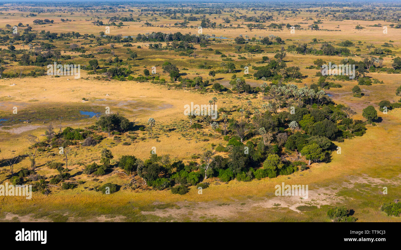 Okavango delta animals aerial hi-res stock photography and images - Alamy