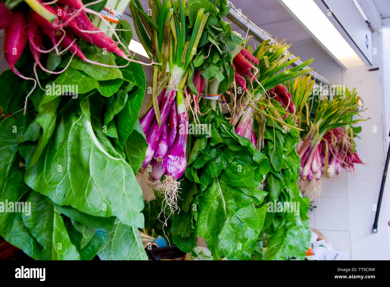 Hanging chard hi-res stock photography and images - Alamy