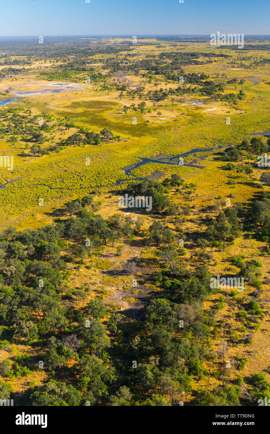 Okavango Delta, Botswana, Africa Stock Photo - Alamy