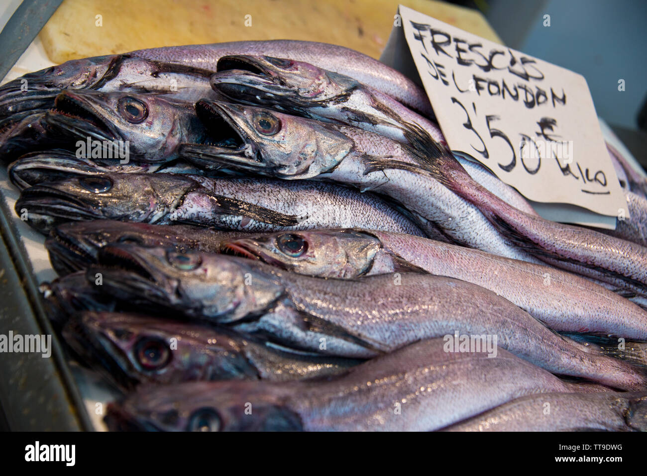 Merluccius hi-res stock photography and images - Alamy