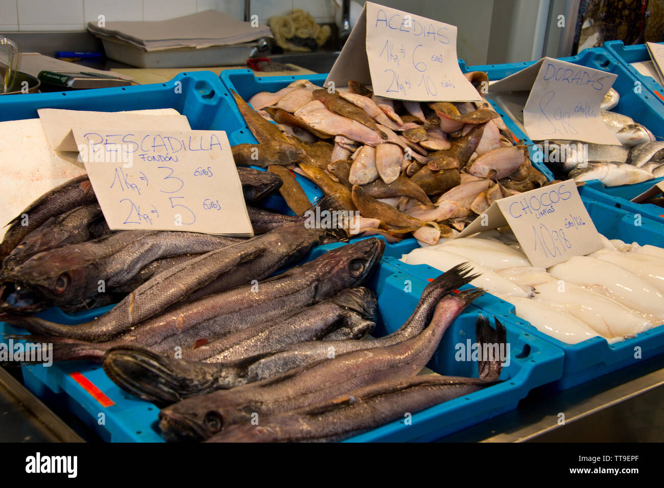 european hake (merliccius merluccius) on fishmonger's market stall in ...