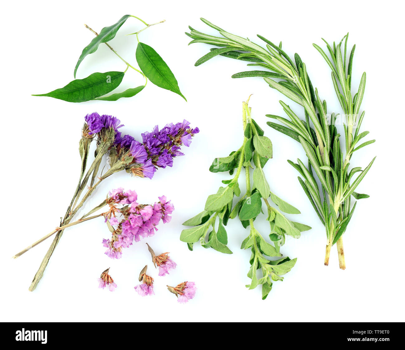 Green herbs and leaves isolated on white Stock Photo - Alamy