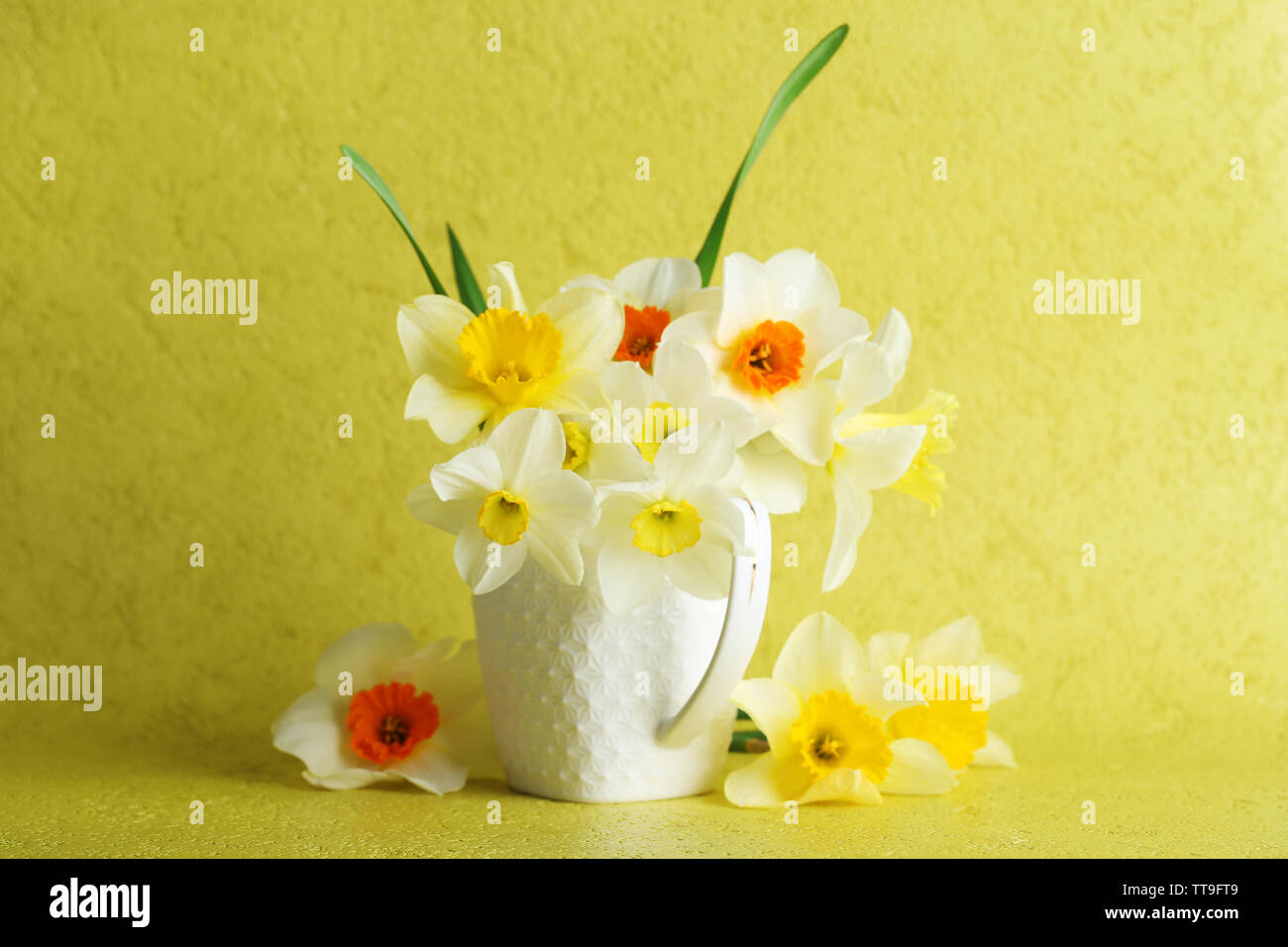 Fresh narcissus flowers on yellow wallpaper background Stock Photo - Alamy
