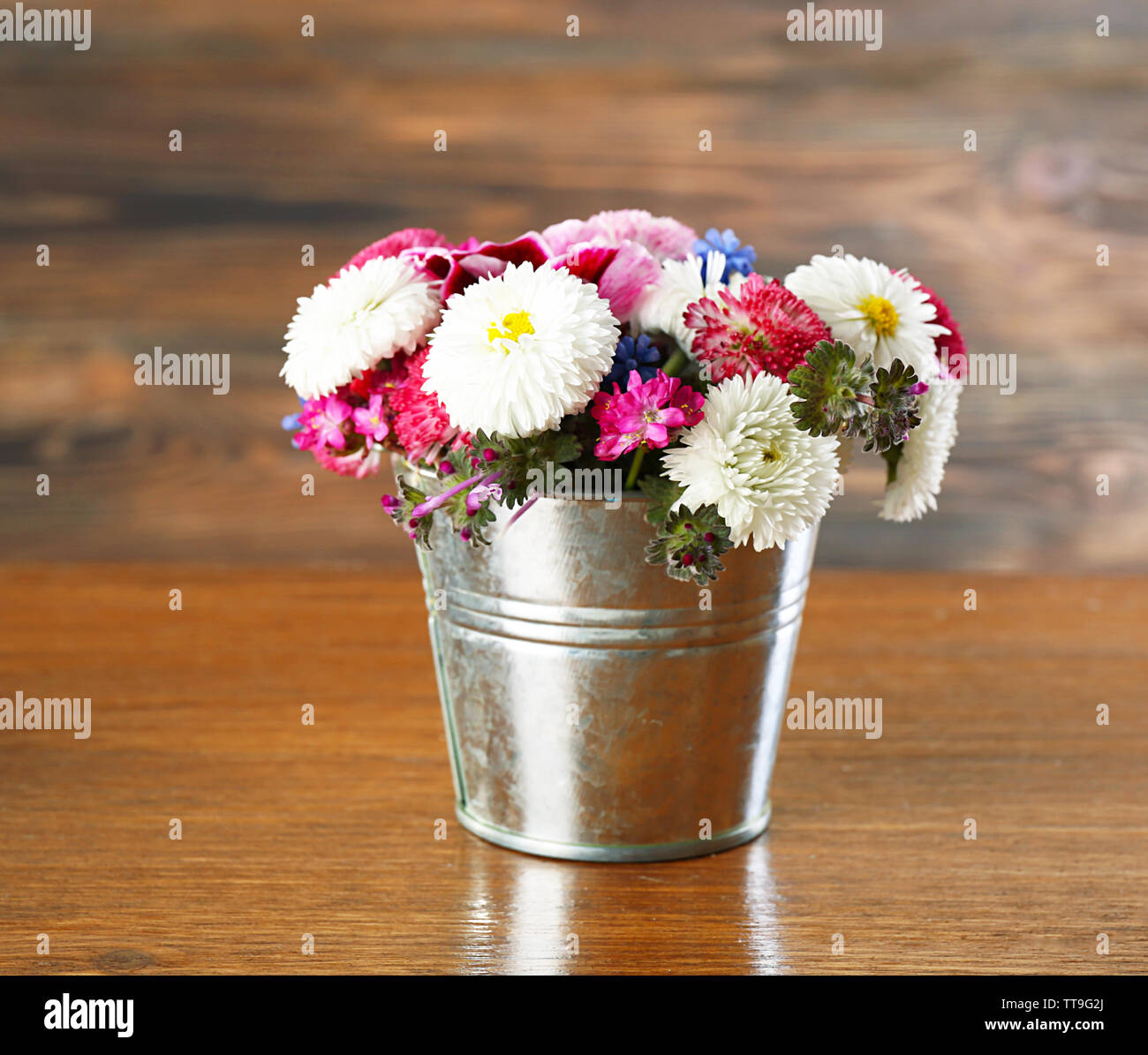 Colorful daisy in metal bucket on wooden background Stock Photo - Alamy