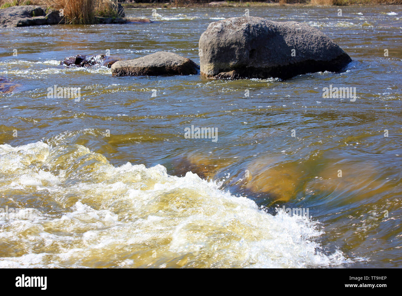 Spring landscape with river, stones and trees Stock Photo - Alamy