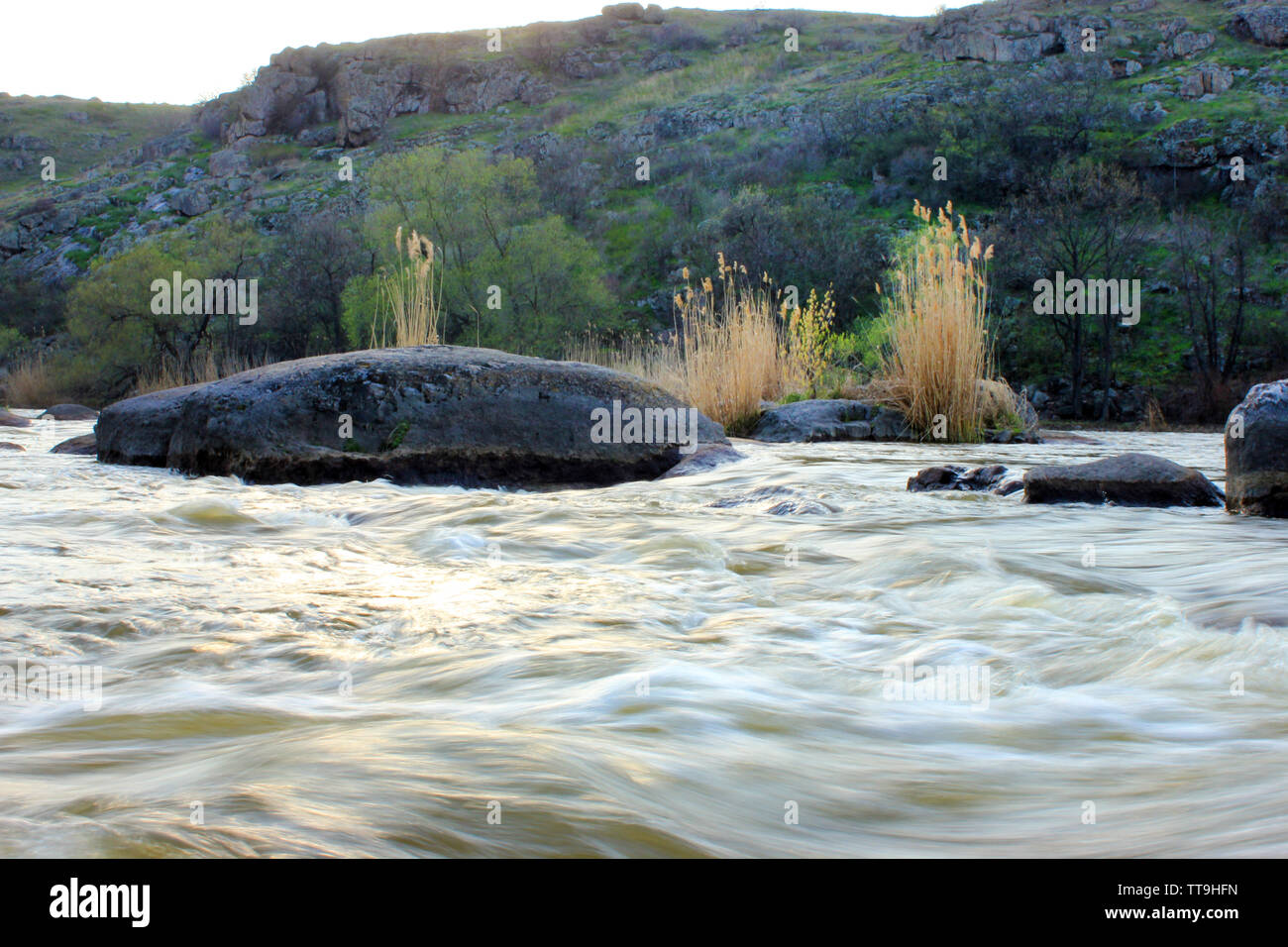 Spring landscape with river, stones and trees Stock Photo - Alamy
