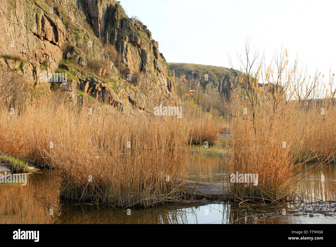 Spring landscape with river, stones and trees Stock Photo - Alamy