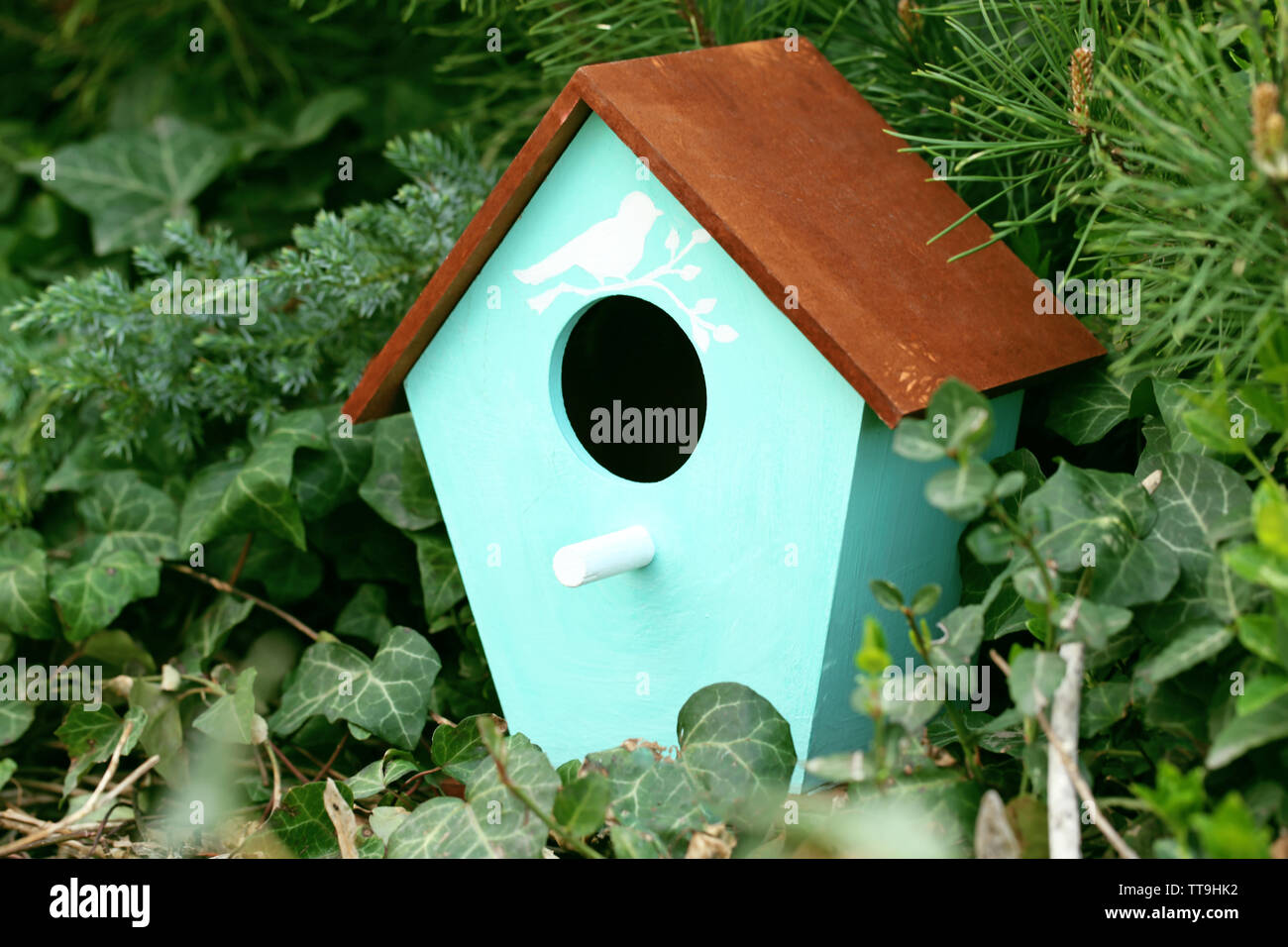 Decorative nesting box on green background Stock Photo - Alamy