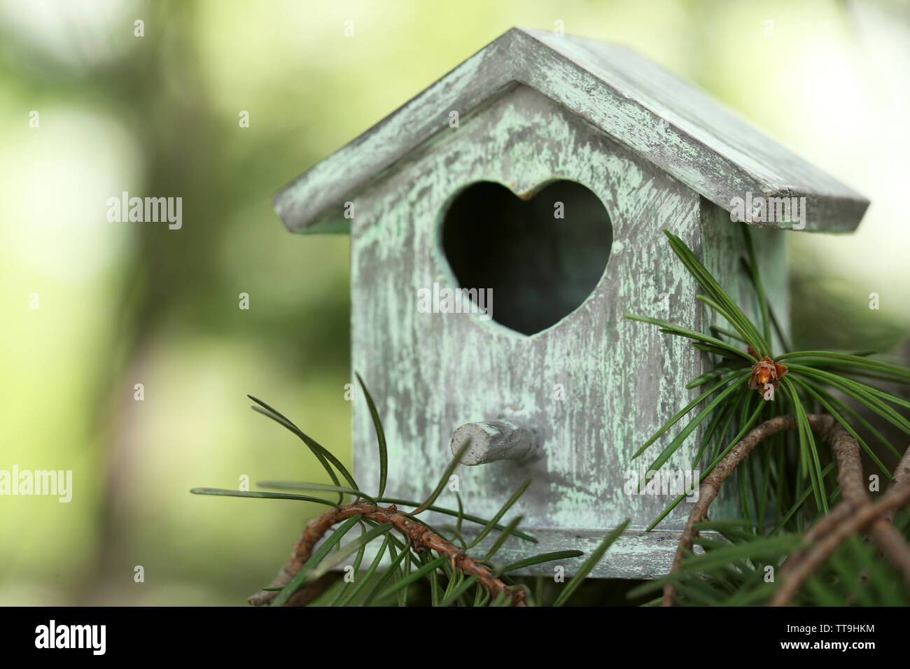 Decorative nesting box on branch, on green background Stock Photo - Alamy
